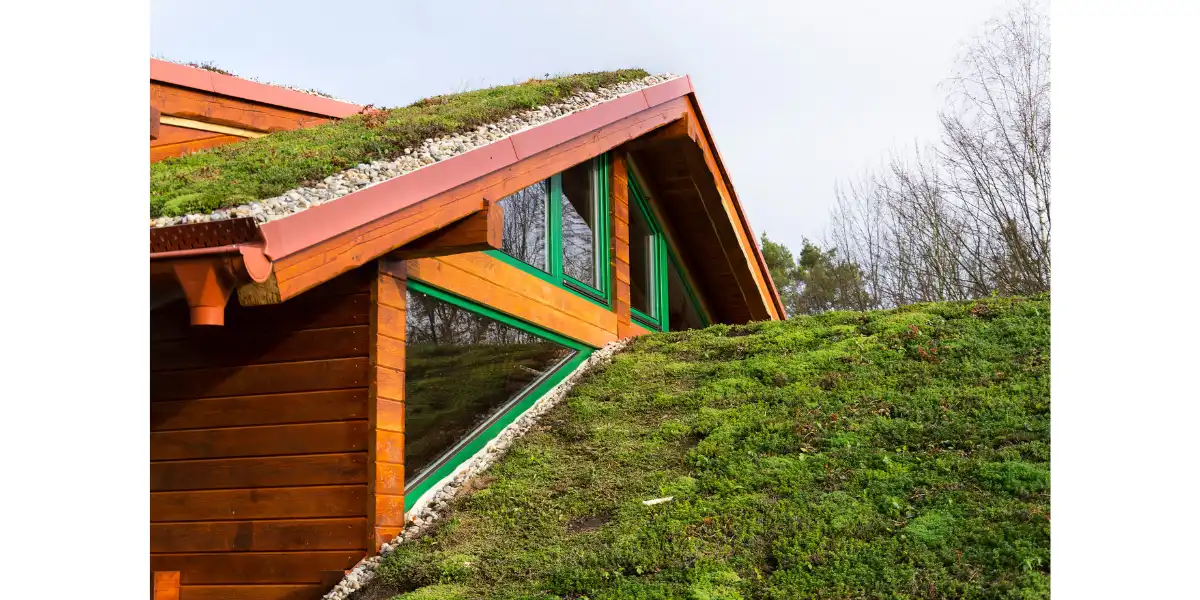 Toit végétalisé : avantages, installation et entretien